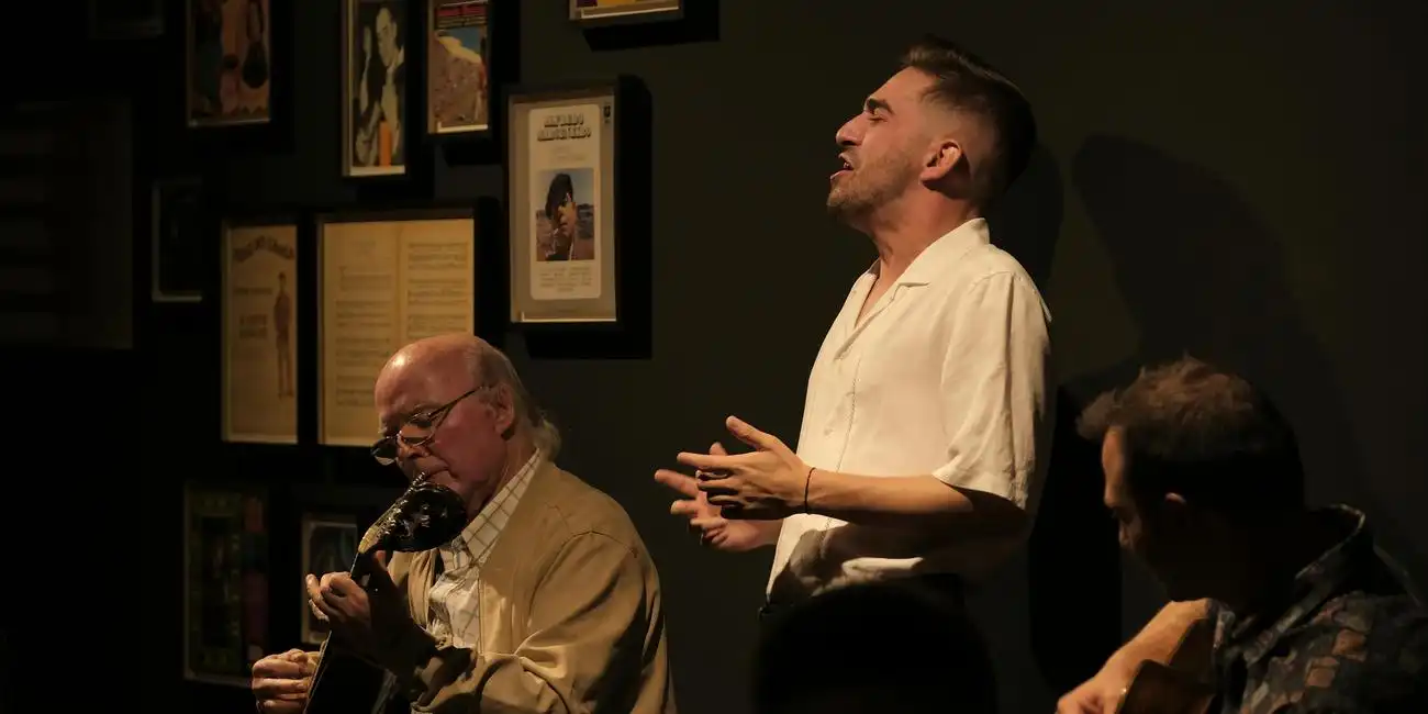 Porto: Concerto di Fado tradizionale - Porto, Portogallo | Porto Pass